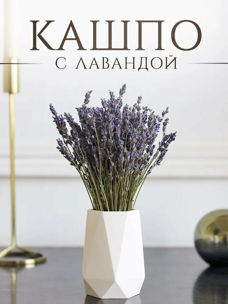 Сухоцветы Лаванда, 21 см, 280 гр, 1 шт