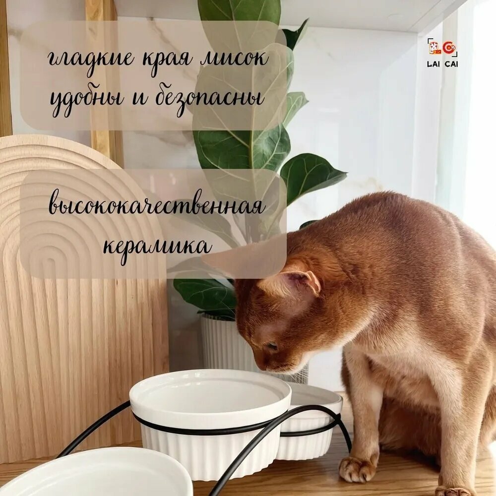Миска для животных — фото 1
