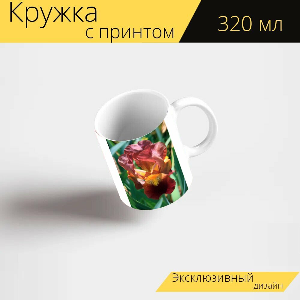 Кружка с рисунком, принтом "Фиолетовый и желтый ирис цветок фиолетовый и желтый ирис цветок цветок запутанные нежный фиолетовый лиловый желтый" 320 мл.