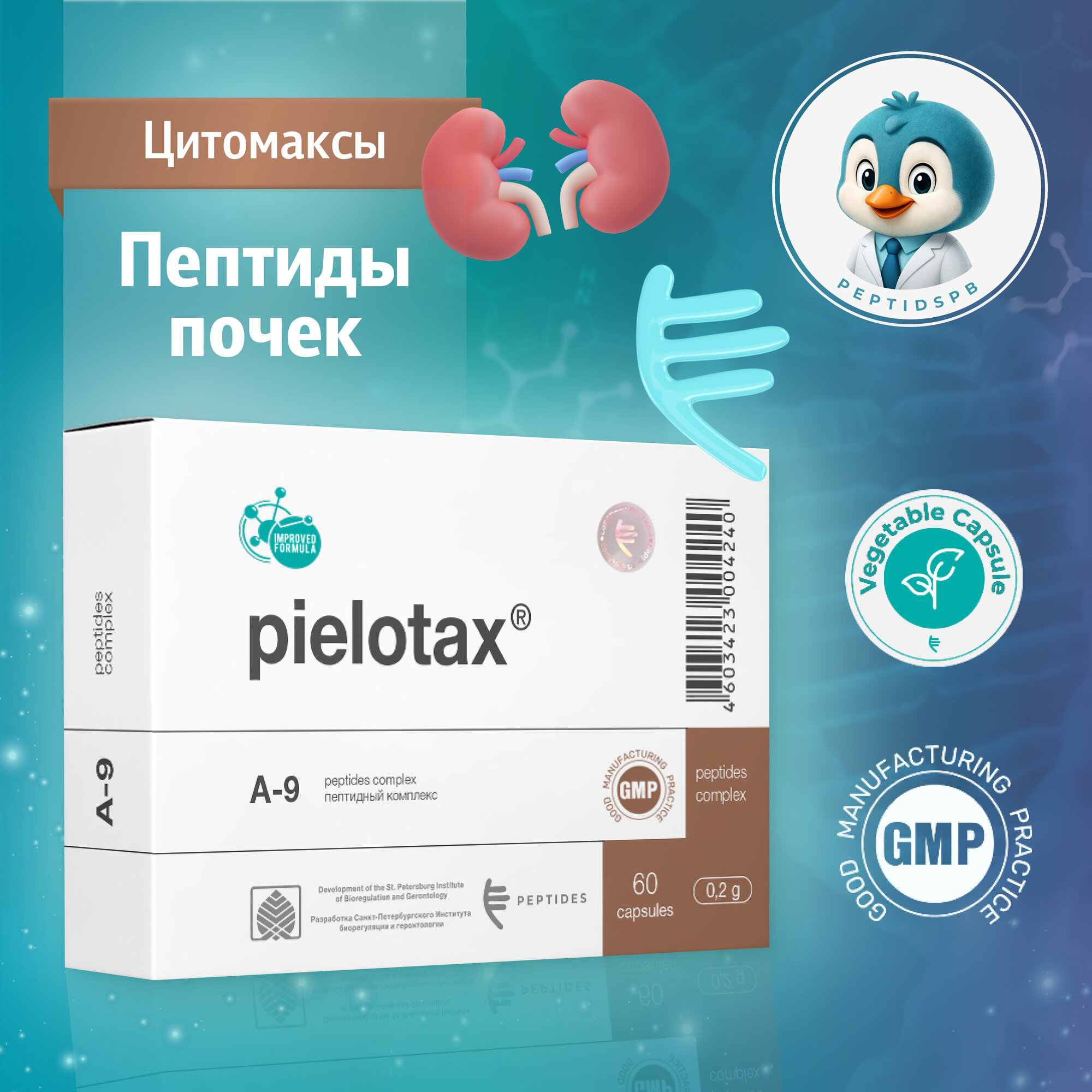 Пиелотакс N60 - пептидный комплекс для поддержки функции почек и мочевыделительной системы (60 капсул)