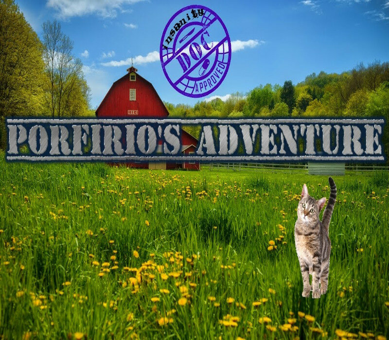 The Cat! Porfirio's Adventure Steam Ключ • Активация Steam • для России