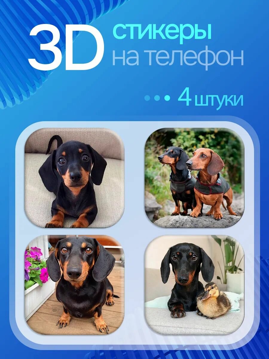 3D стикеры на телефон таксы