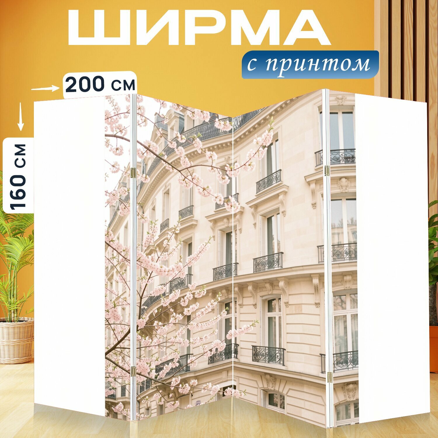 Ширма "Парижский фасад с цветущей сакурой. Элегантная европейская архитектура с коваными балконами и." перегородка для зонирования комнаты с принтом 200x160 см. на холсте