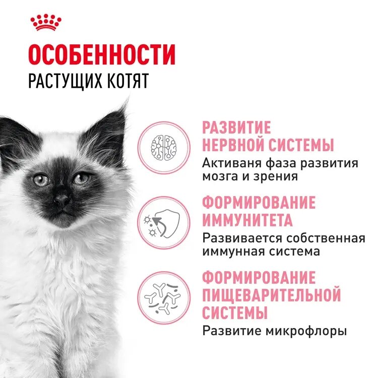 Royal Canin Kitten Сухой корм для котят от 4 до 12 месяцев, 2 кг