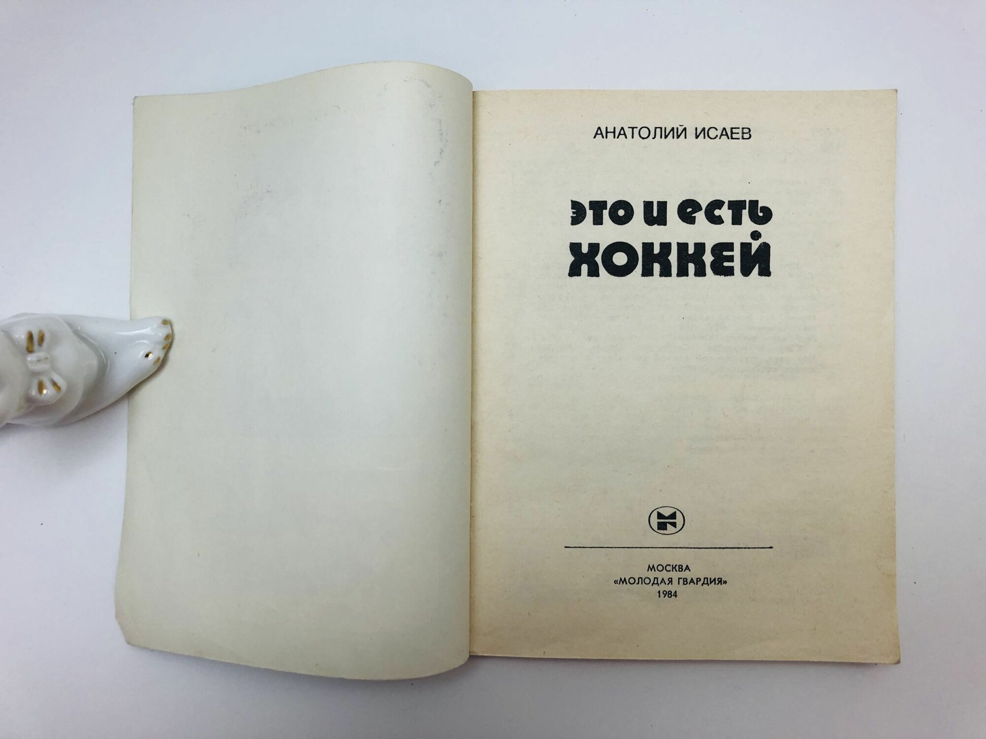 Это и есть хоккей — фото 1