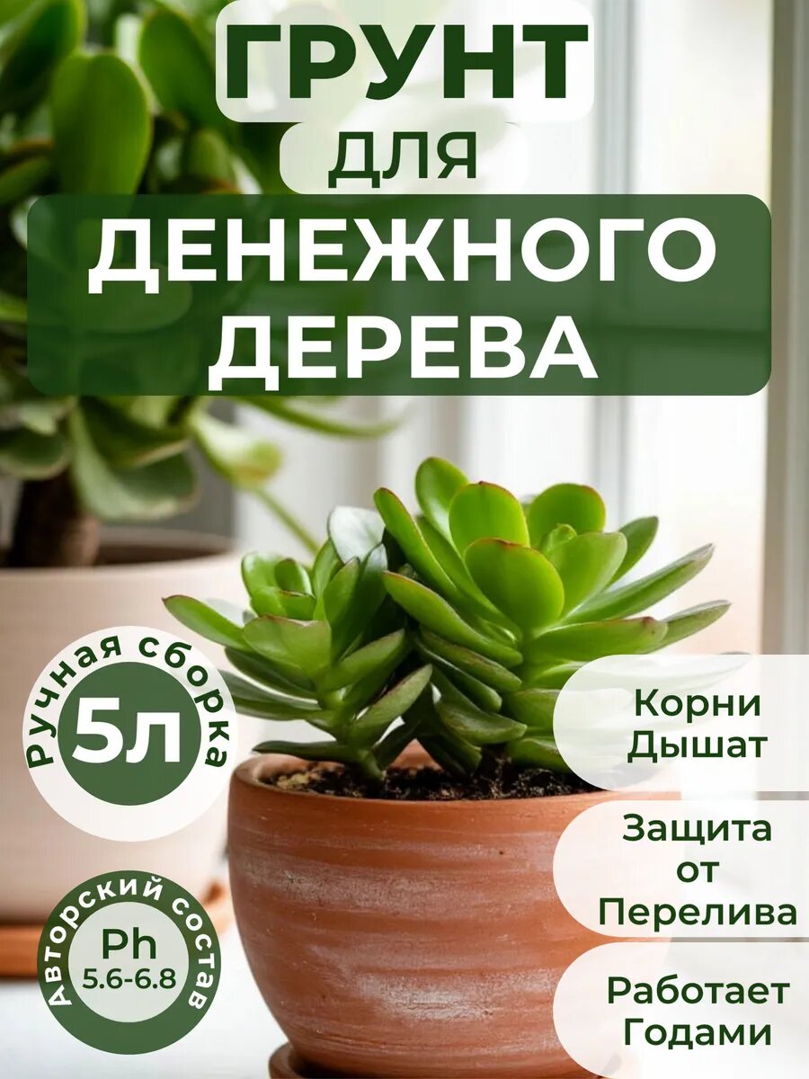 Готовый авторский грунт для Денежного дерева, премиум 5 л
