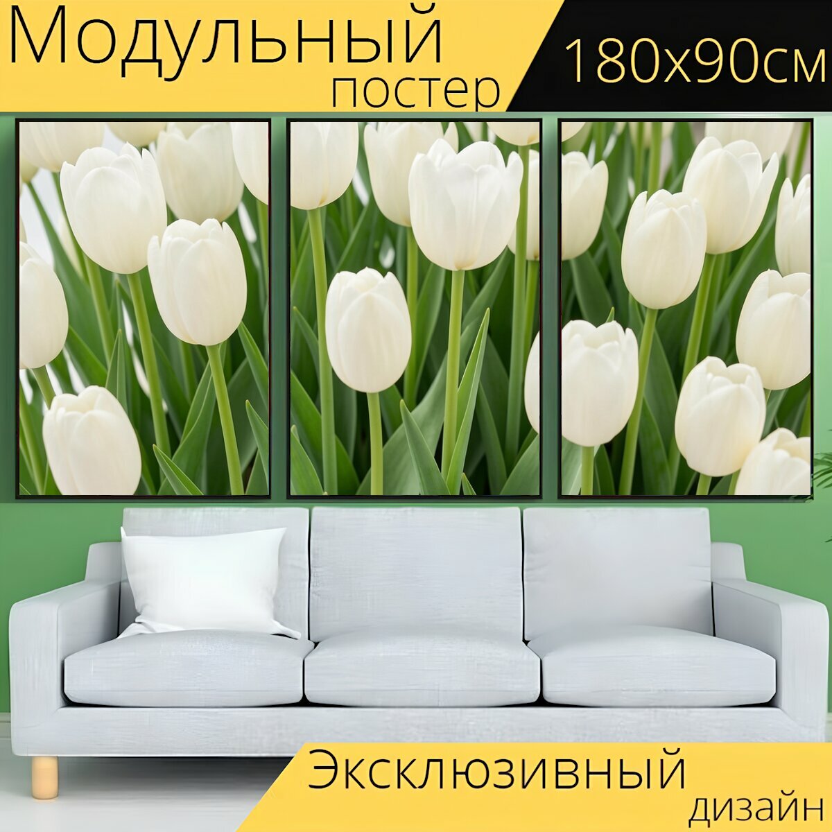 Модульный постер "Белые тюльпаны в зелени. Нежная весенняя композиция из распустившихся светлых бутонов с длинными зелеными листьями." 180 x 90 см. для интерьера на стену в тубусе