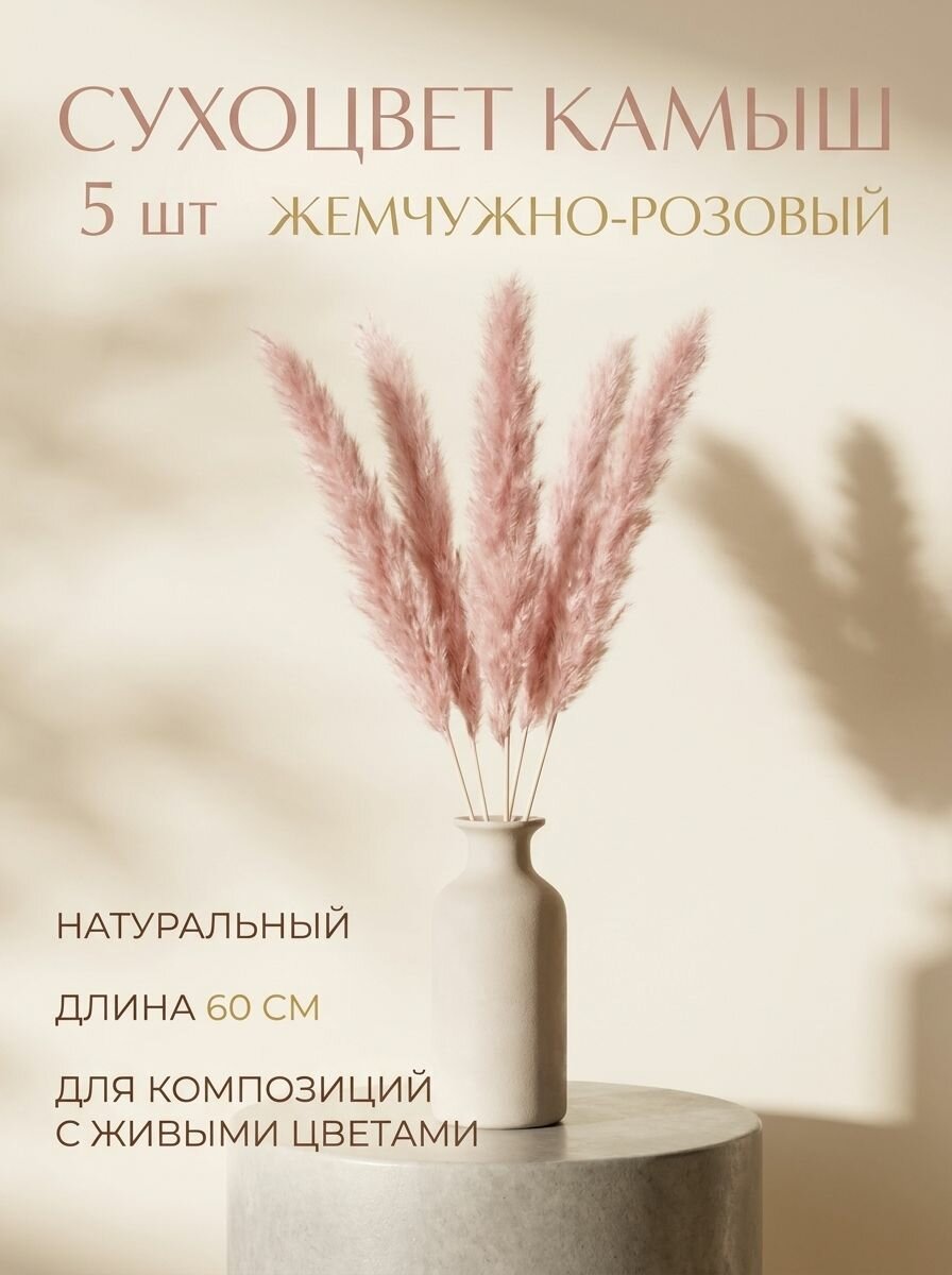 Сухоцвет "Камыш", 5 шт в пучке, жемчужно-розовый, натуральный сухоцвет, для создания цветочных композиций и декора