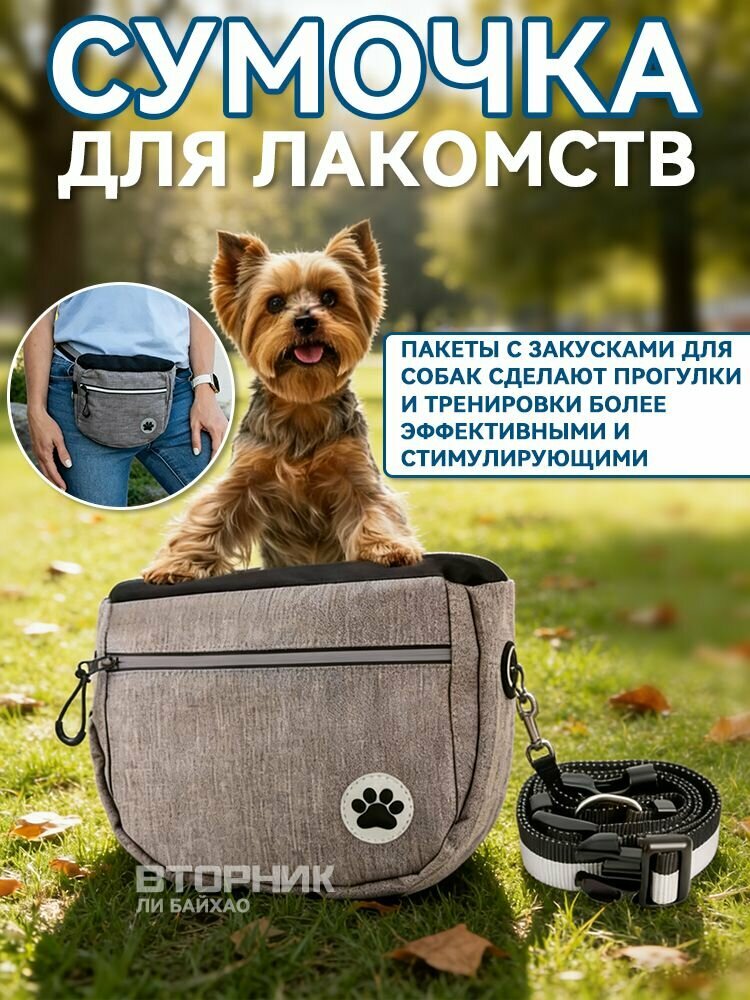 Сумка для лакомств и корма поясная влагозащитная 3в1