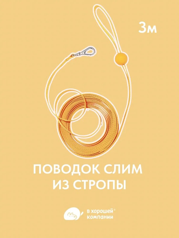 Поводок регулируемый для собак мелких пород и кошек, перестежка из стропы IN GOOD COMPANY В хорошей компании (Слим/ 3м / Спелое манго)