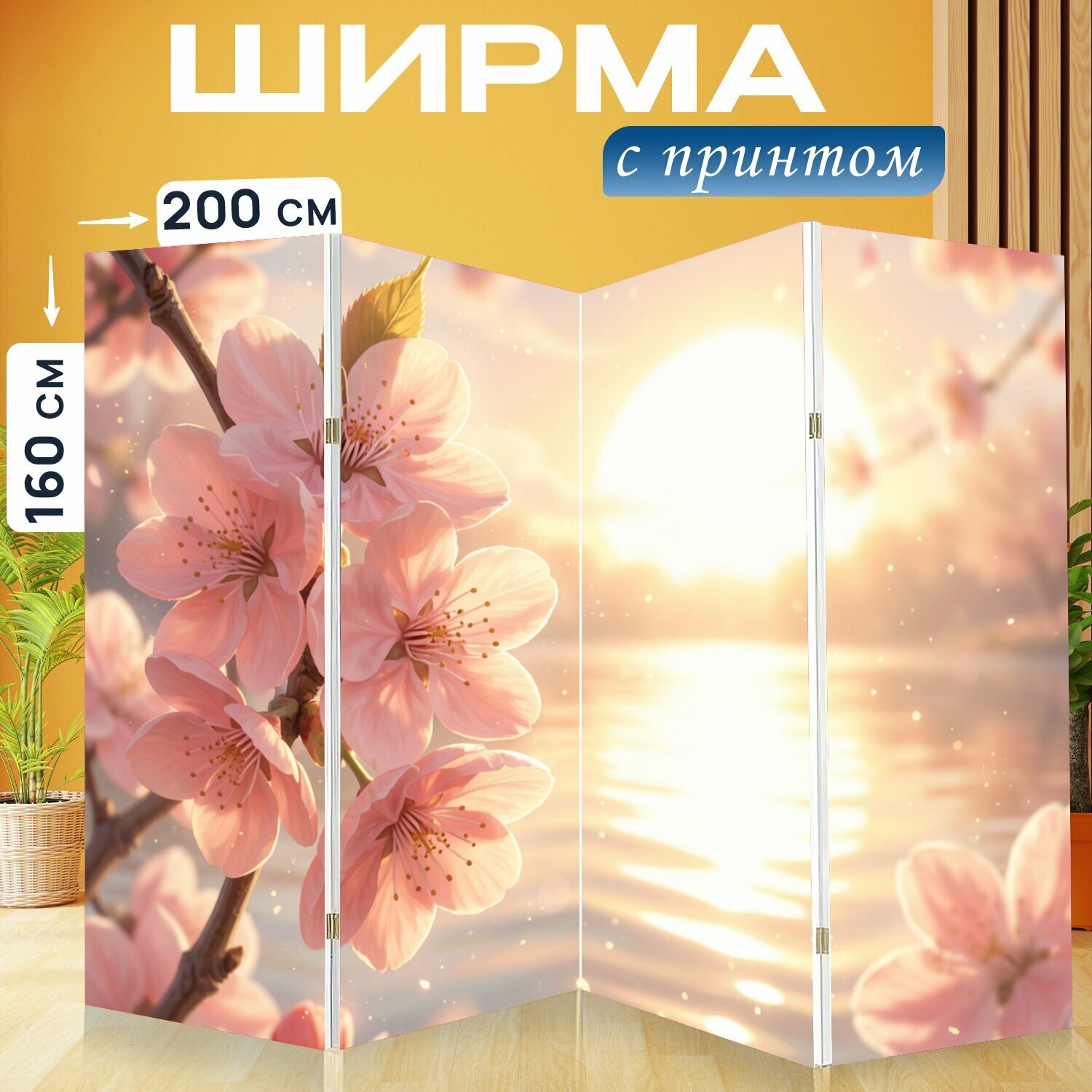 Ширма "Крупные нежно-розовые цветы сакуры на ветке, близкий план с несколькими распустившимися цветками на." перегородка для зонирования комнаты с принтом 200x160 см. на холсте
