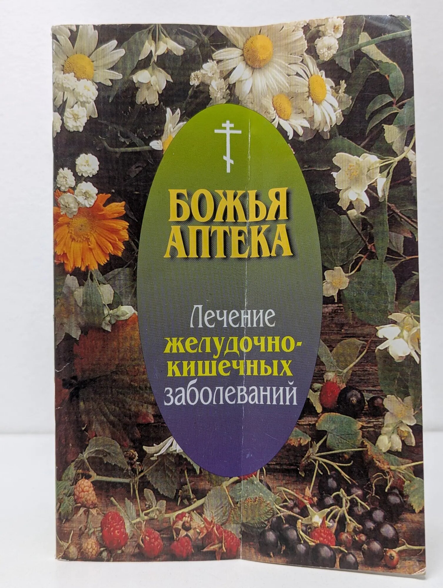 Божья аптека. Лечение желудочно-кишечных заболеваний Киянова Ирина Владимировна (сост.) 2007