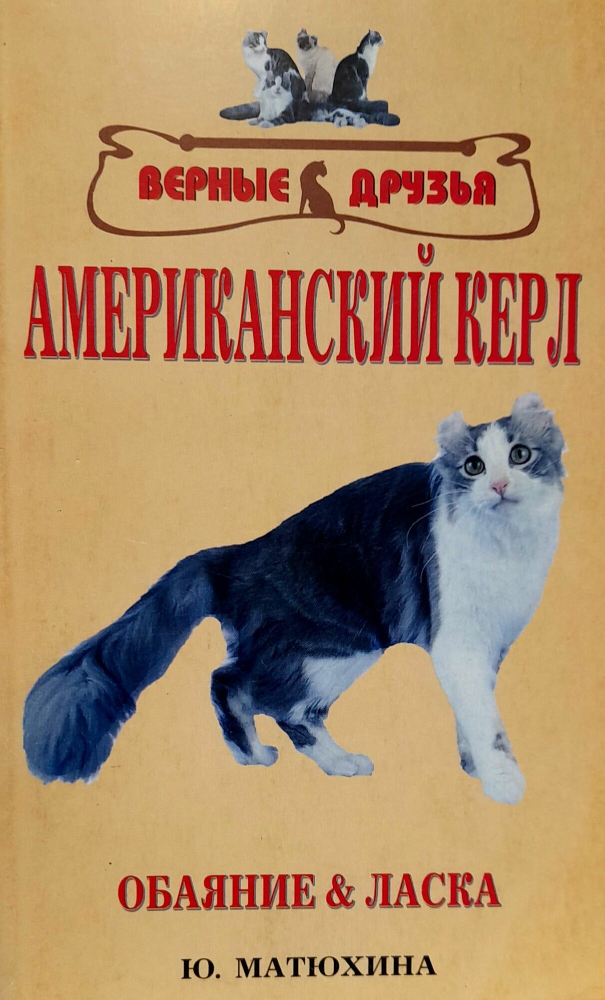Американский керл. Матюхина Ю.