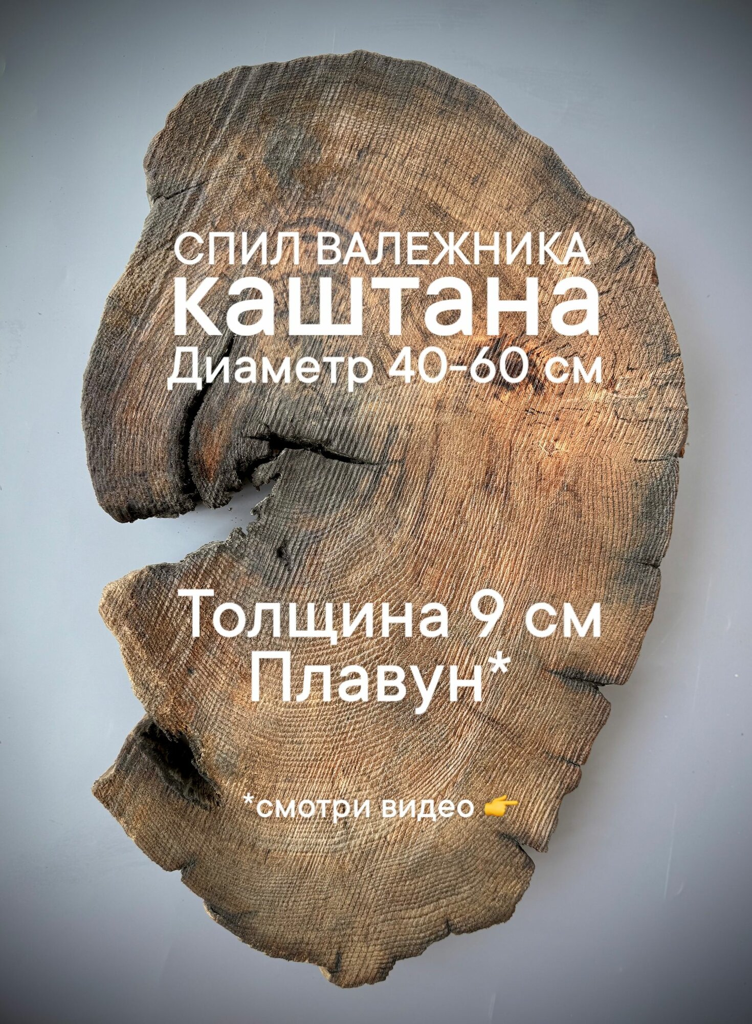 Толстый спил валежника Каштана 40-60 см Толщина 9 см 1 шт.