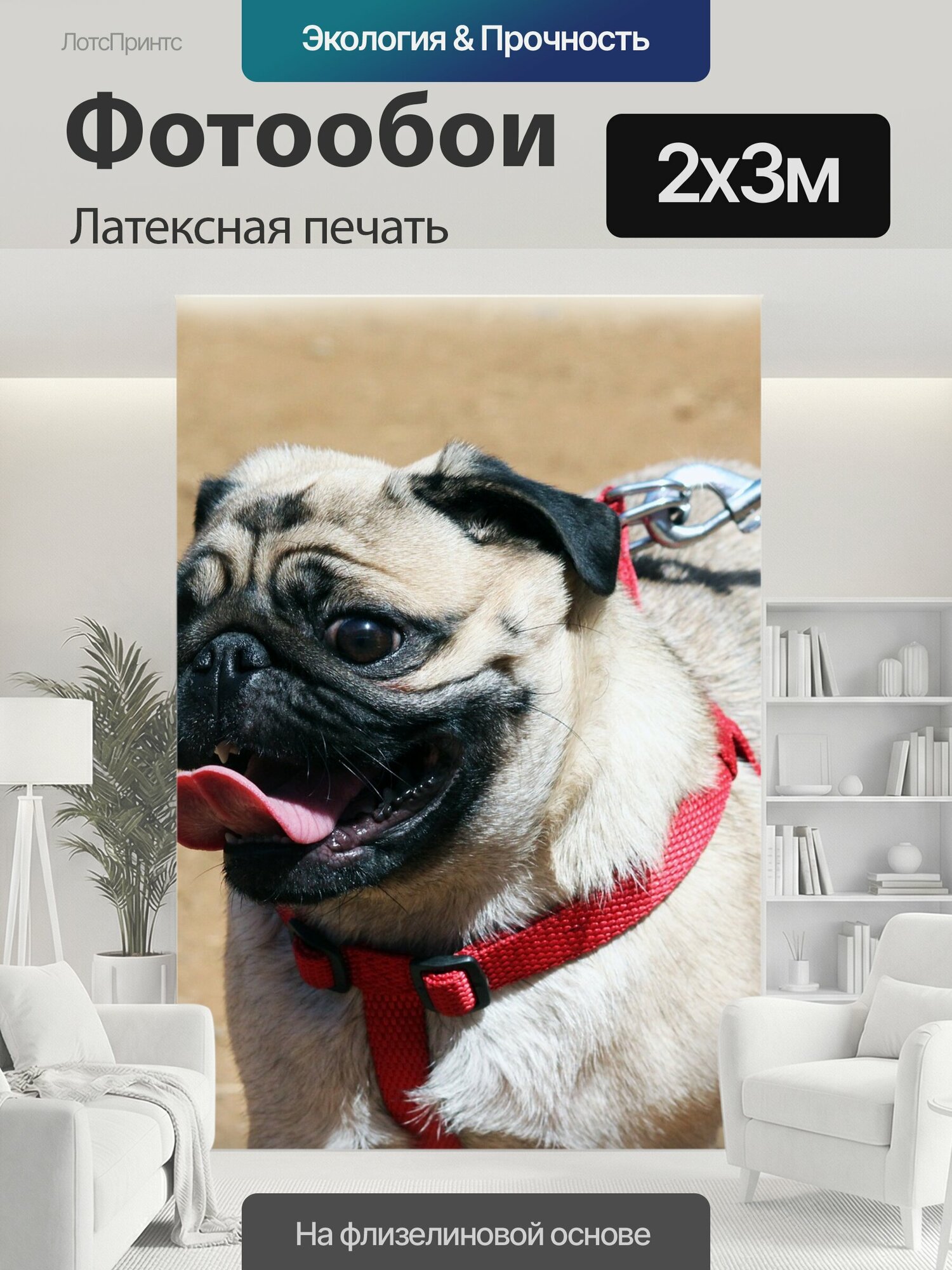 Фотообои моющиеся ударопрочные "Собака, белый, мопс" 200x300 см. латексная печать