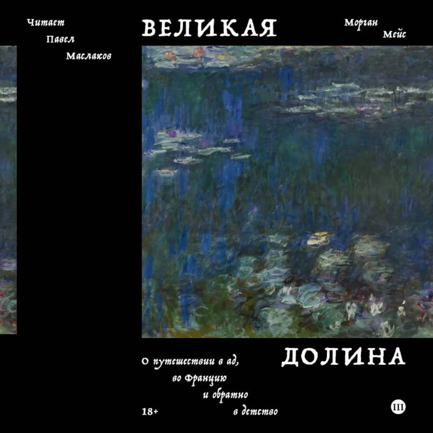 Великая долина. О путешествии в ад, во Францию и обратно в детство [Аудиокнига]