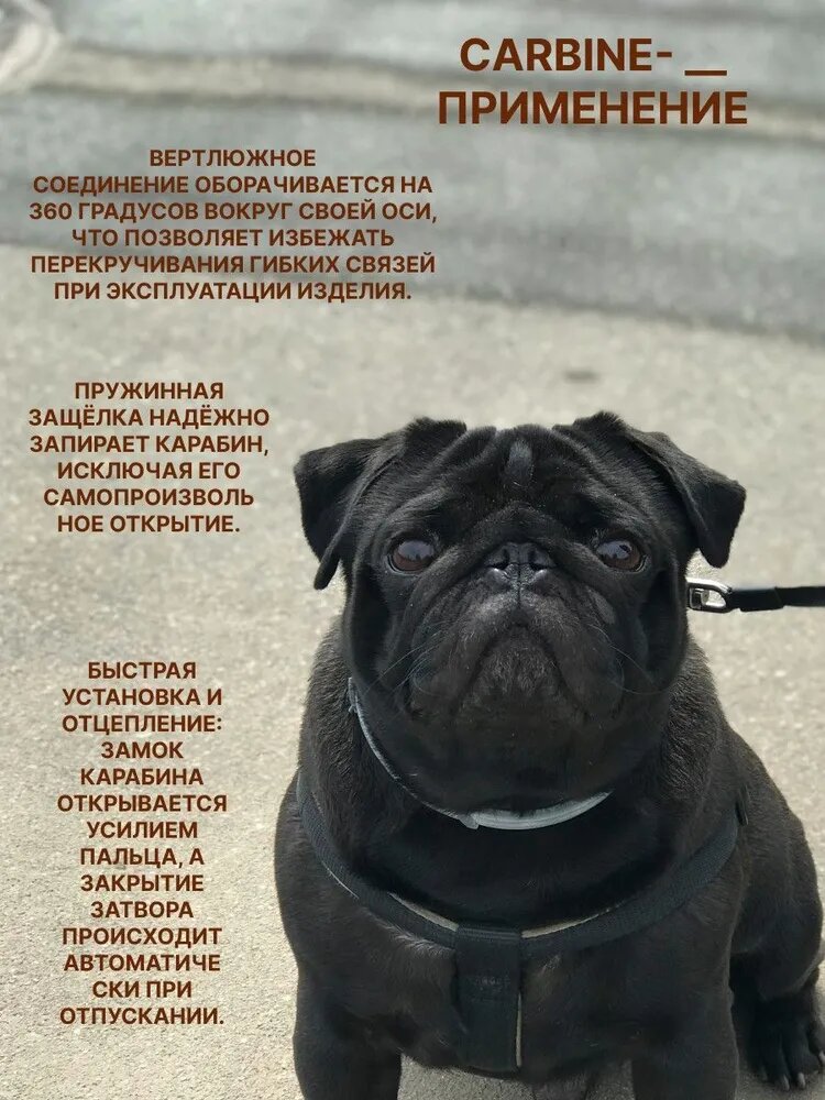 Карабин для поводка — фото 1
