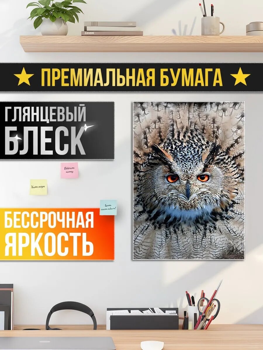 Постер на стену Сова — фото 1