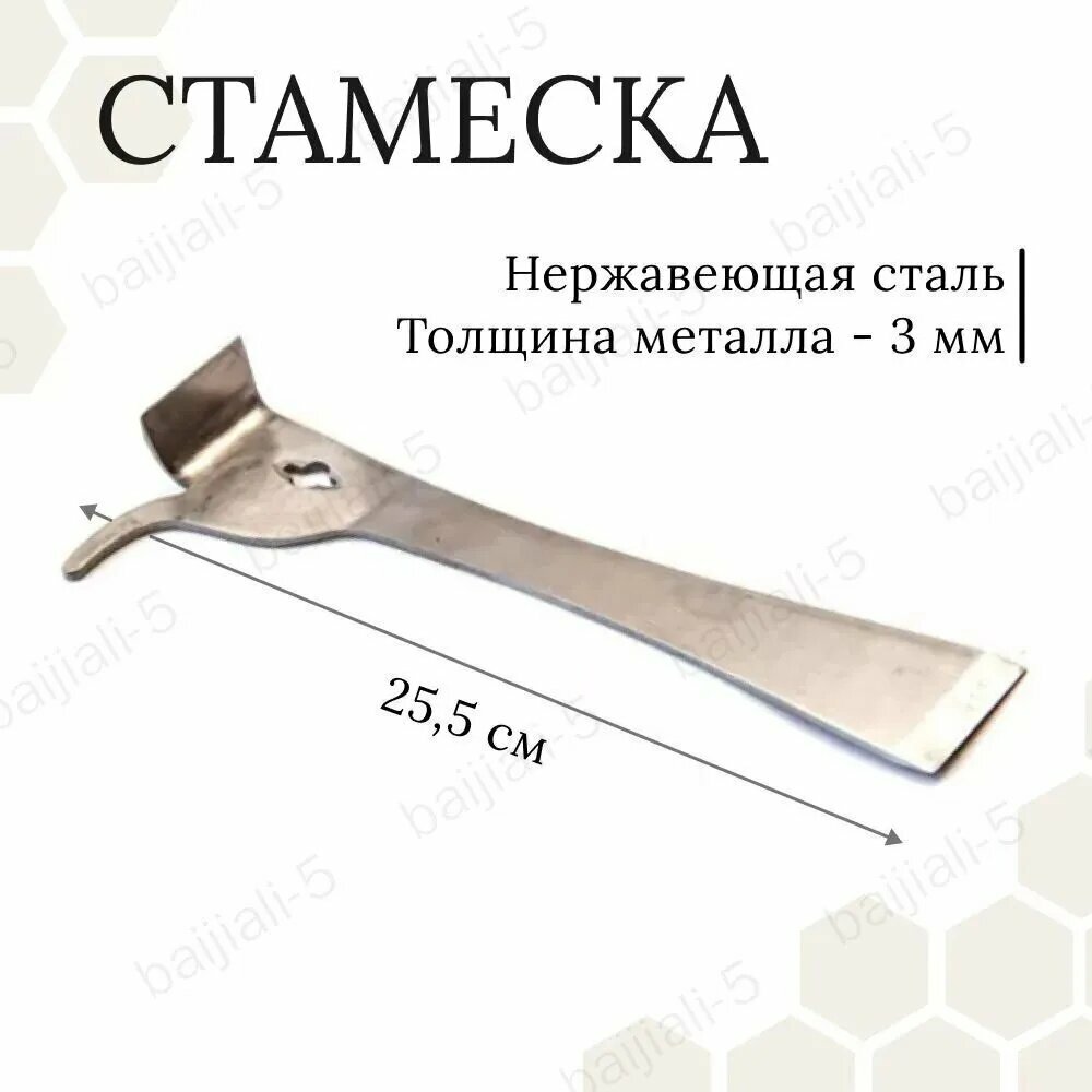 Стамеска пасечная