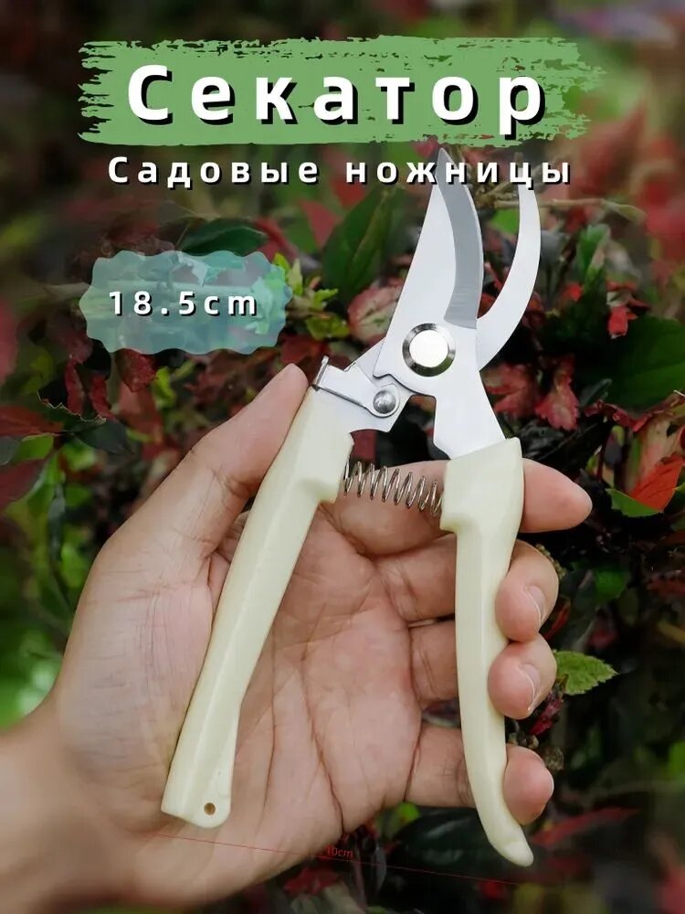 Секатор