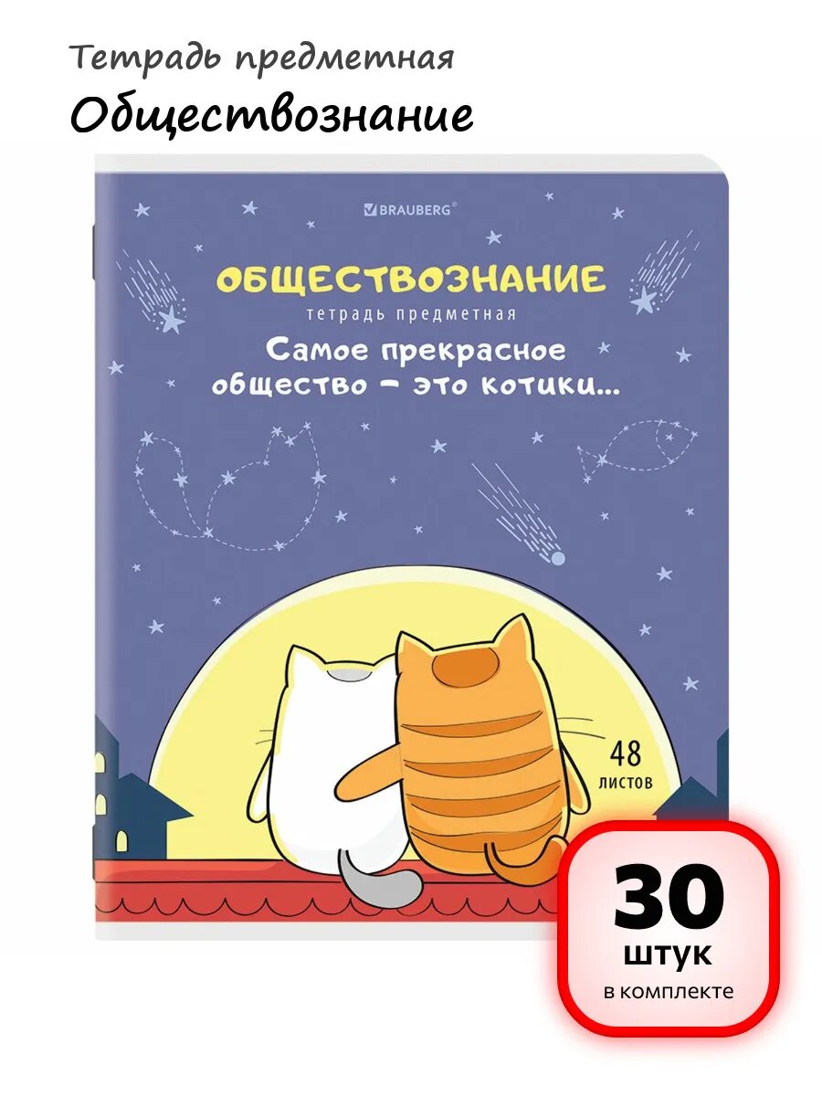 (30 штук) - Тетрадь предметная Обществознание арт. 404557