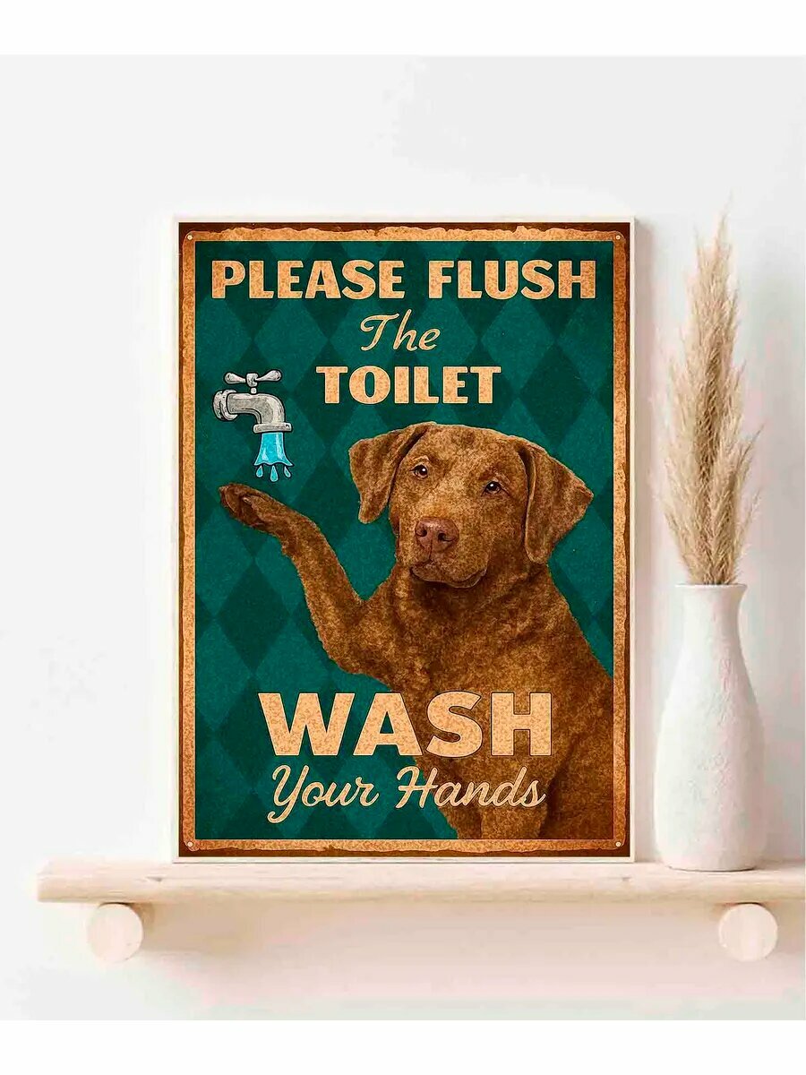 Собака породы ретривер Чесапикского залива, Please Flush Th