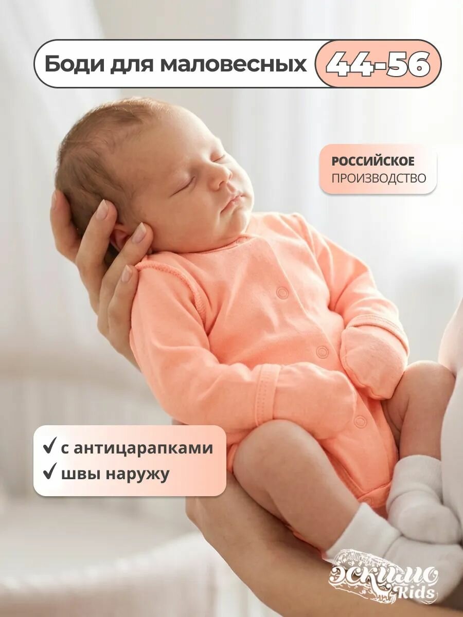 Боди