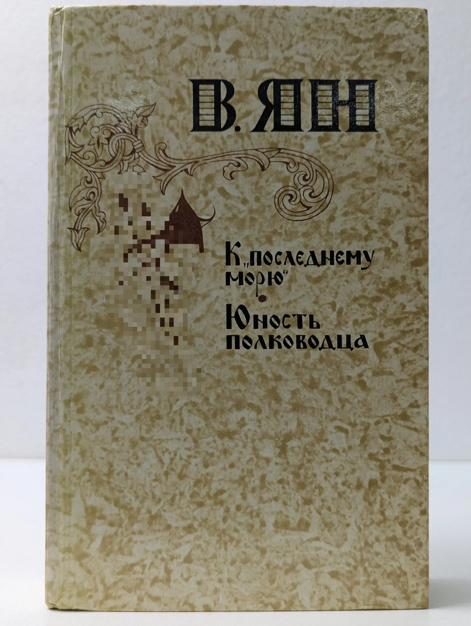 К последнему морю. Юность полководца Ян Василий Григорьевич 1981