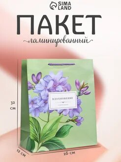 Пакет подарочный ламинированный «Вдохновение», светло - зелёный, 26×12×32 см