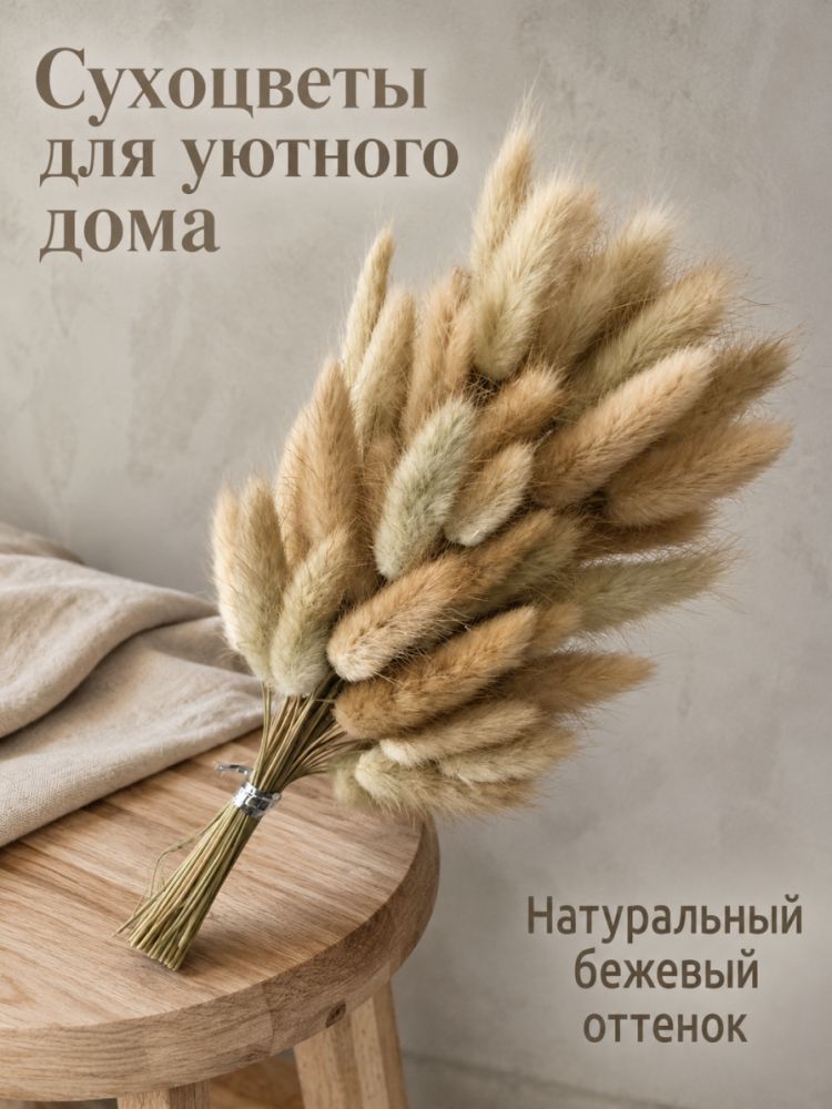 Сухоцветы Лагурус 55 см 60 шт хаки