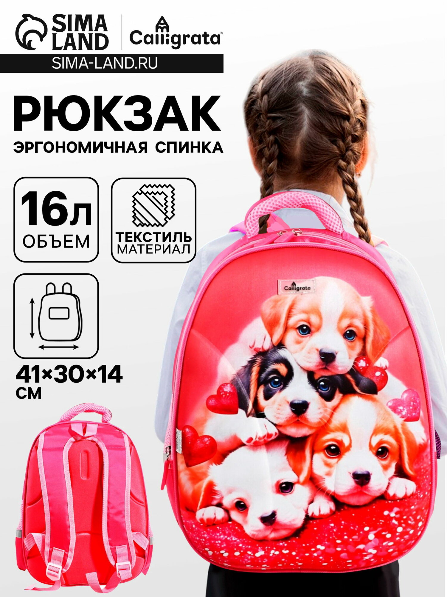 Рюкзак каркасный школьный "Щенки", 39x30x14 см, изображение: собака