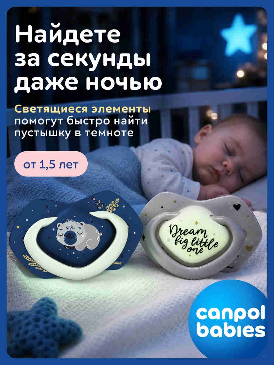 Canpol babies пустышка силиконовая 18+ мес. "Сонная Коала" (Sleepy Koala) 2 шт. голубой