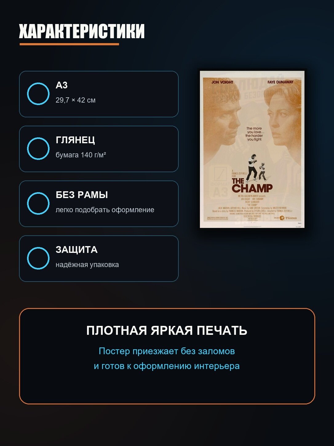 Постер Чемпион — фото 1