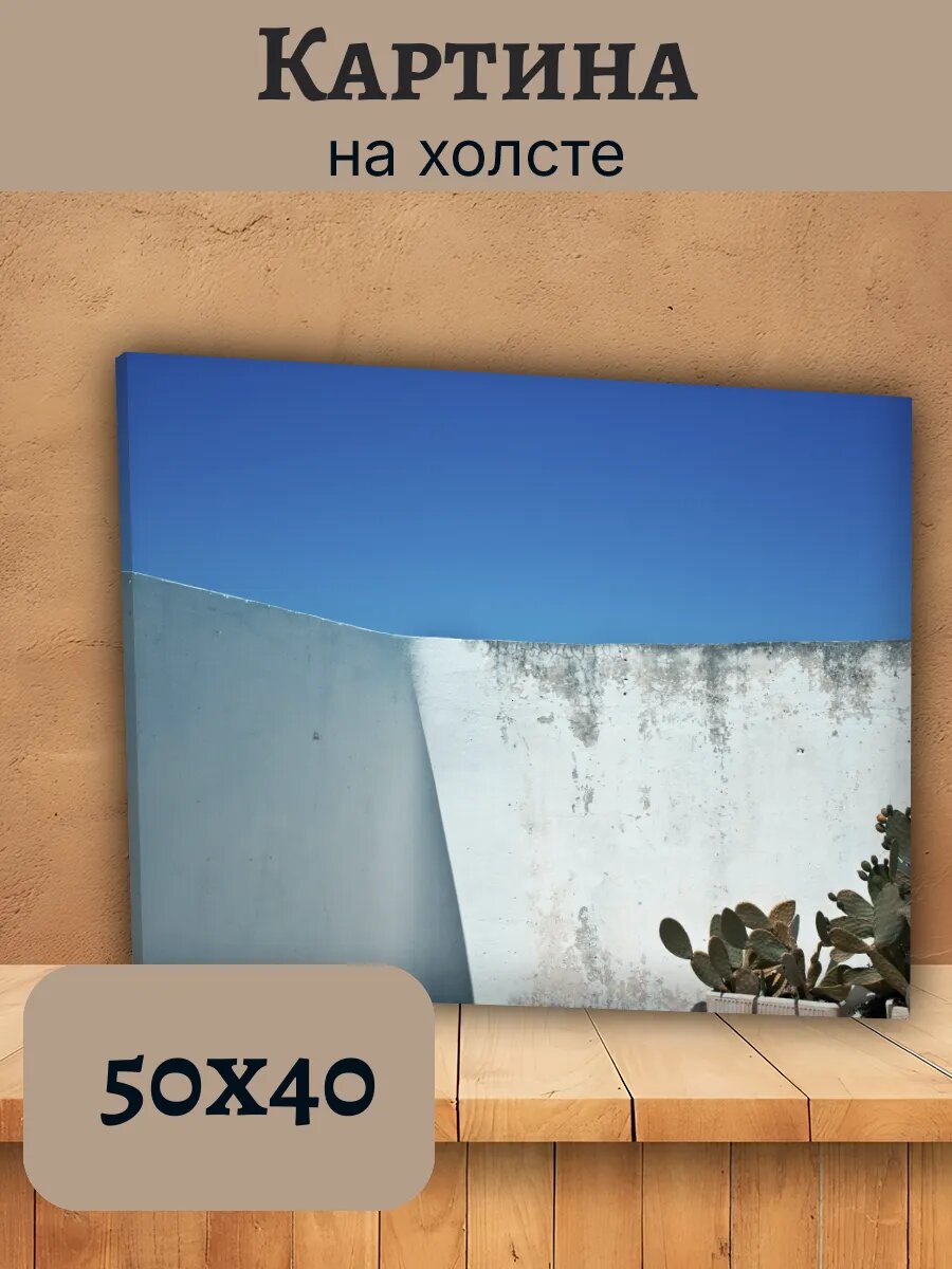 Картина Италия Italy 40x50 минимализм с кактусом