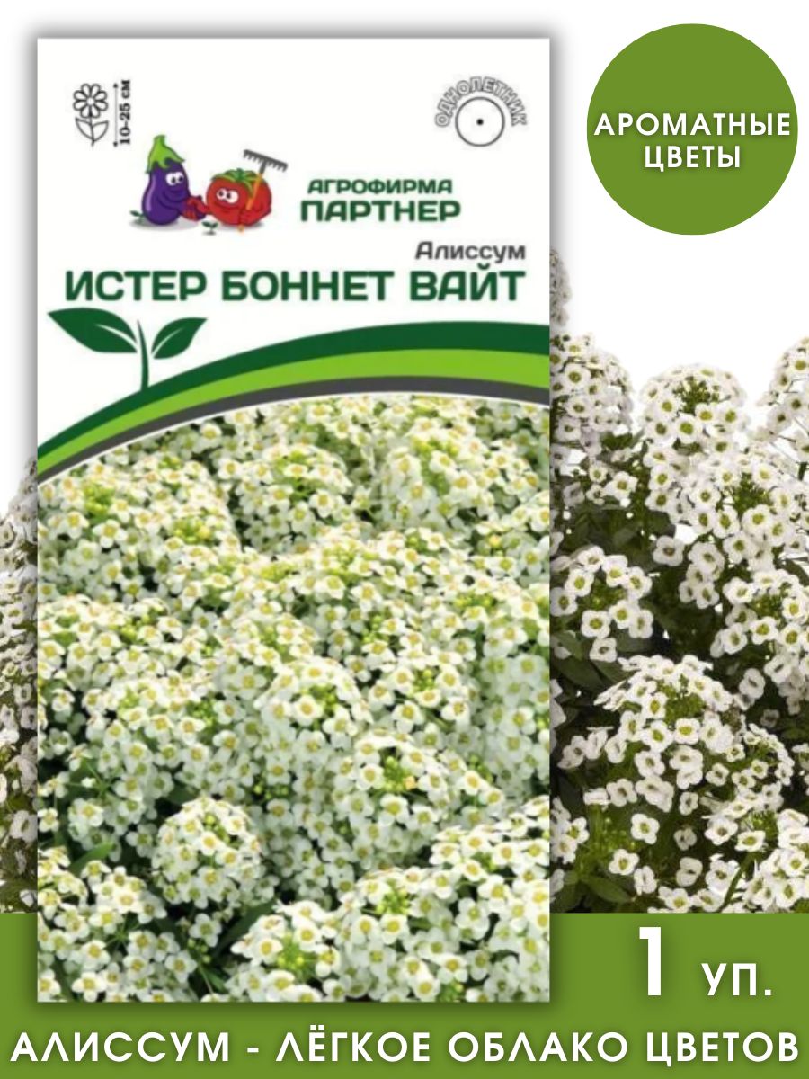 Семена цветов алиссум