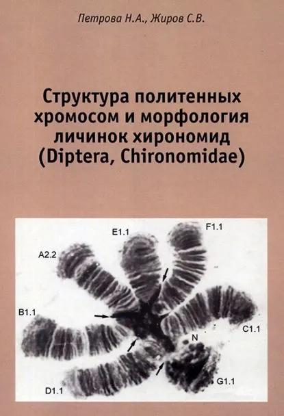 Петрова Н. А. Структура политенных хромосом и морфология личинок хирономид