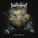 CD диск Borknagar - Universal (CD) 2023, Jewel