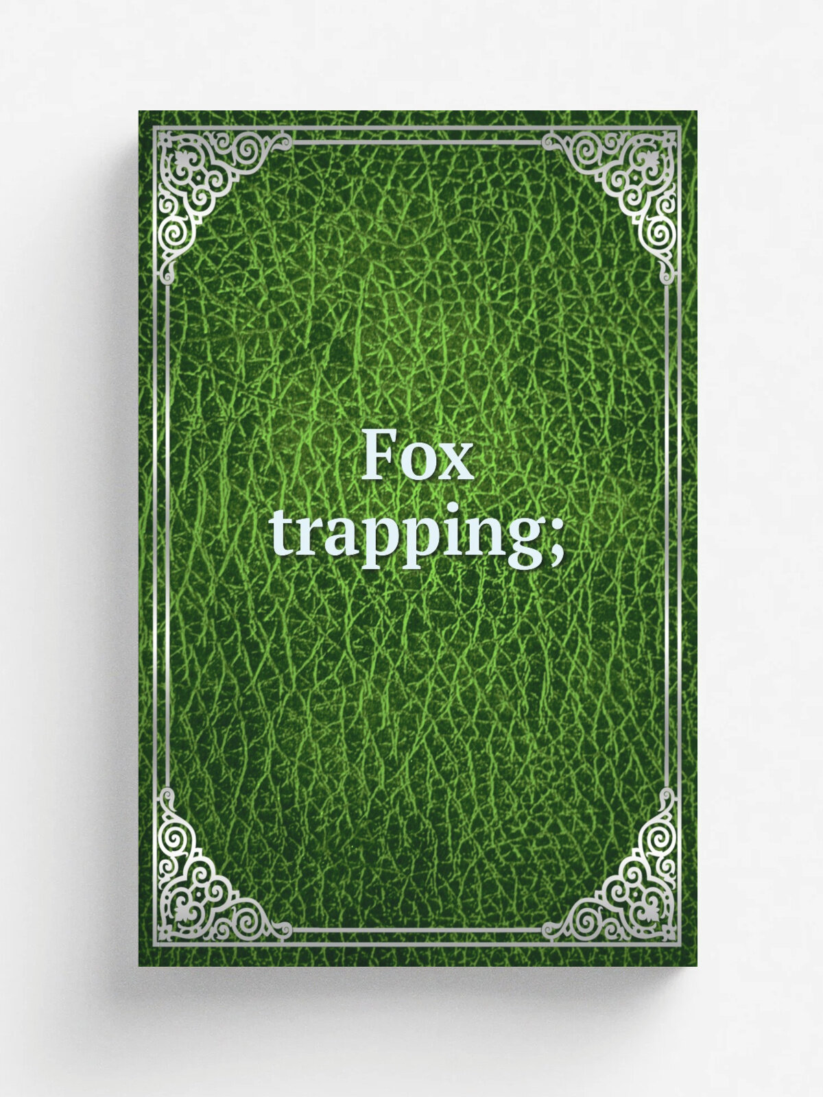Fox trapping;