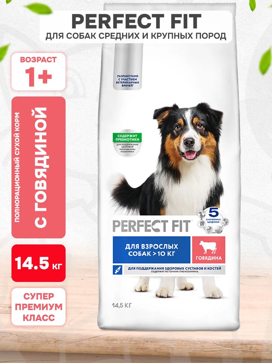 Корм сухой Perfect Fit Adult для средних и крупных собак, для поддержания здоровья суставов и костей, говядина, 14,5 кг