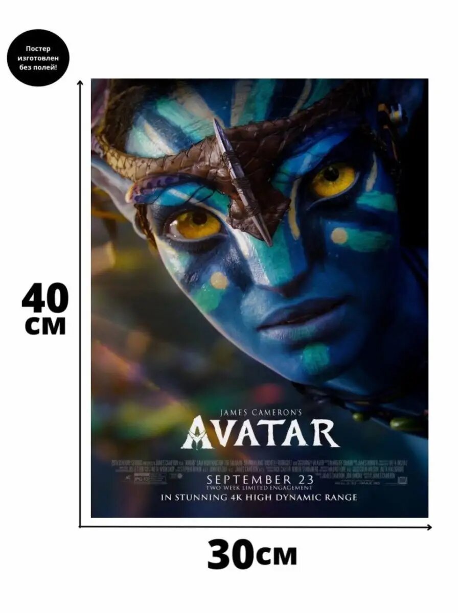 Постер Аватар, 30 x 40 см (без полей), материал бумага, без рамы