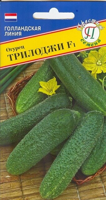 Семена огурца Престиж Трилоджи F1, партенокарпические, корнишоны, однолетние