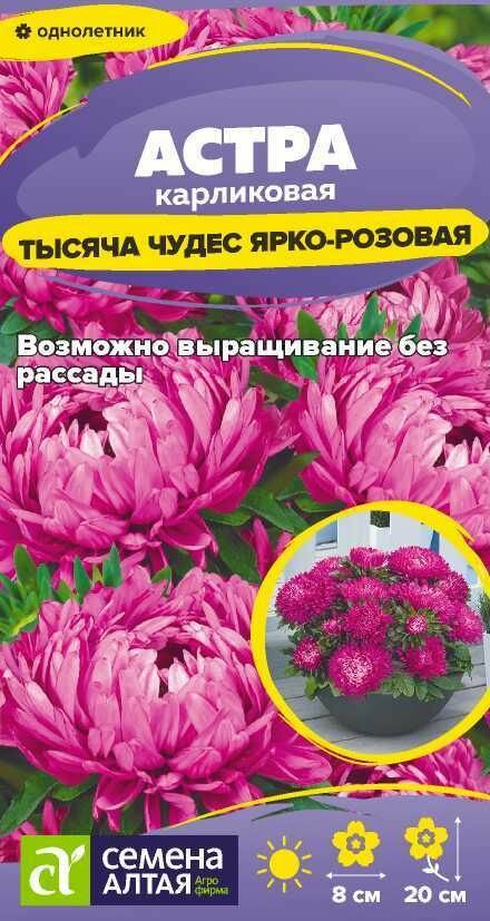 Семена Астра карликовая "Тысяча чудес ярко-розовая" однолетник "Семена Алтая"