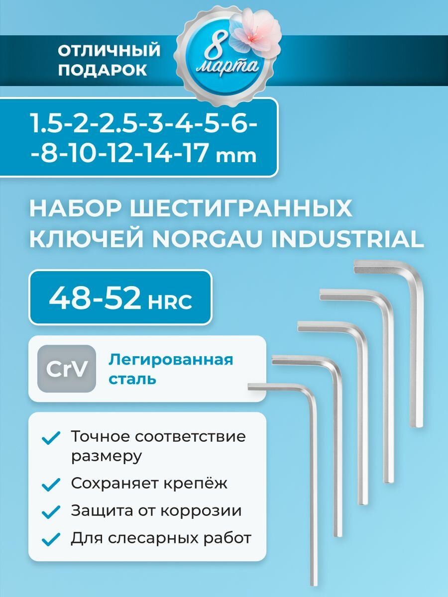 Набор шестигранных хромированных ключей 1.5-17мм NORGAU Industrial для винтов с внутренним шестигранником, 12 предметов
