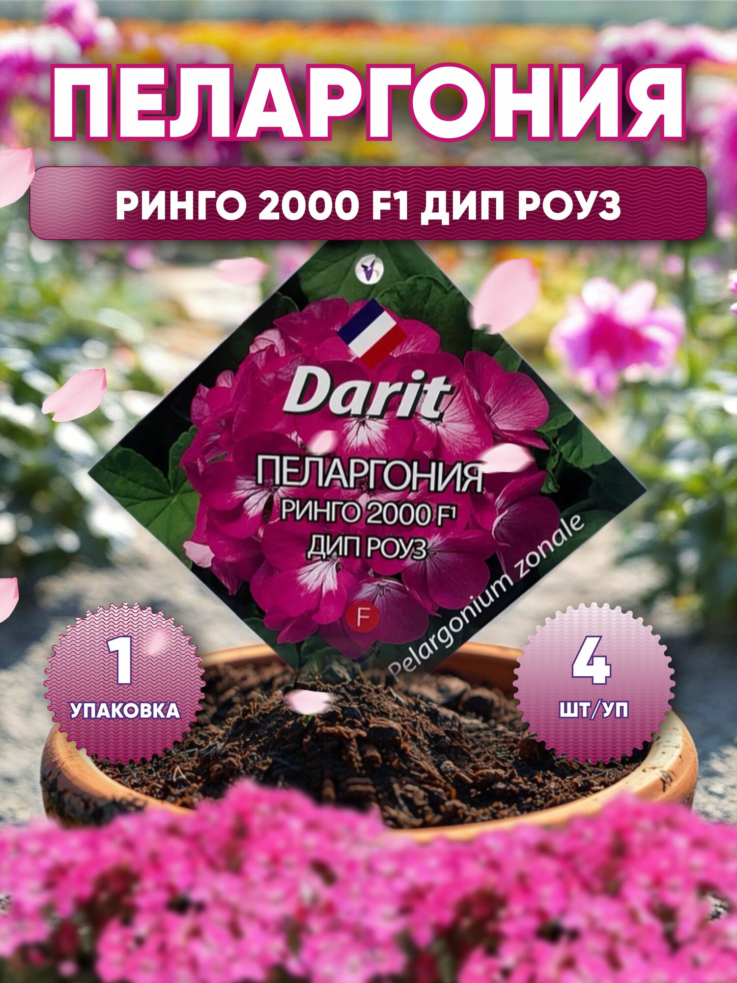 Семена Darit Пеларгония Ринго 2000 Дип Роуз F1, 4шт/уп, 1 упаковка