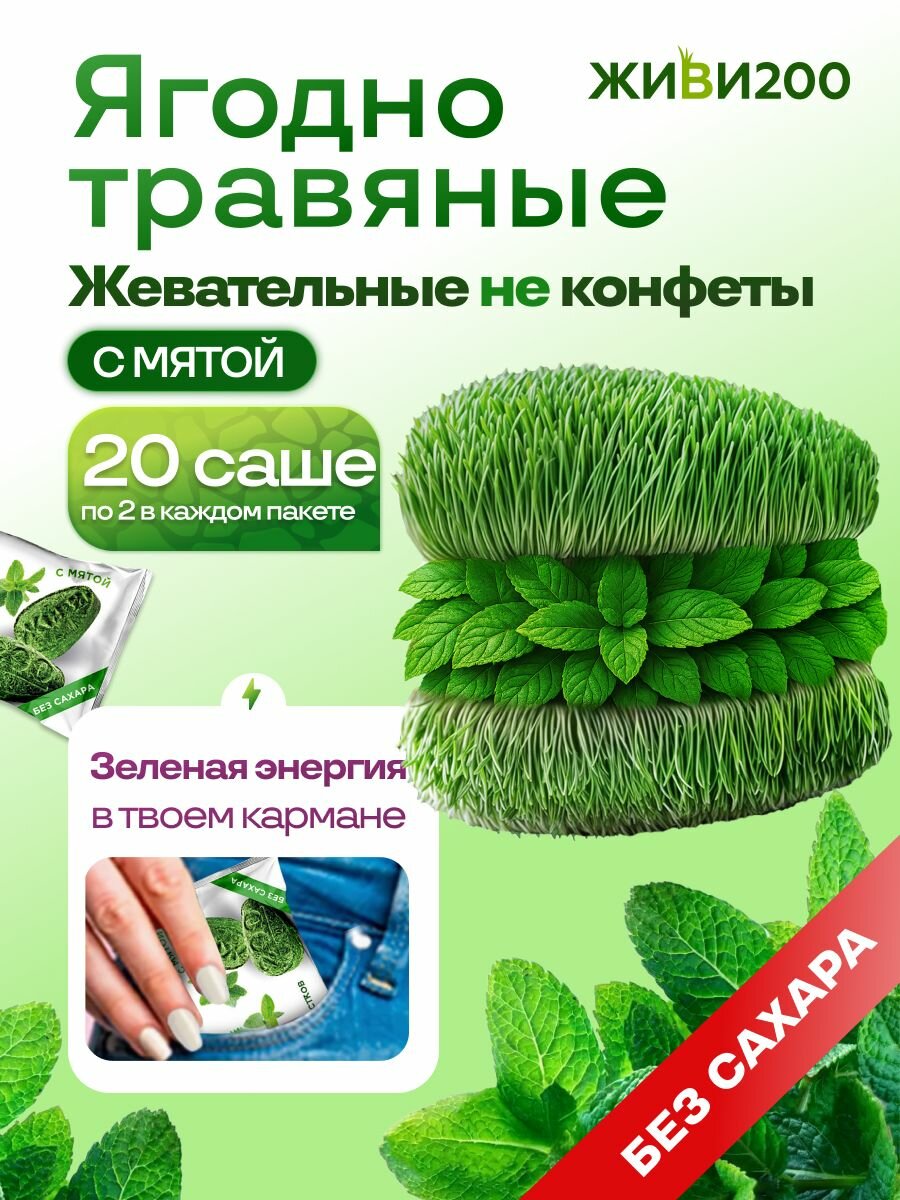 Ягодно травяные жевательные НЕ конфеты с мятой 20 шт.