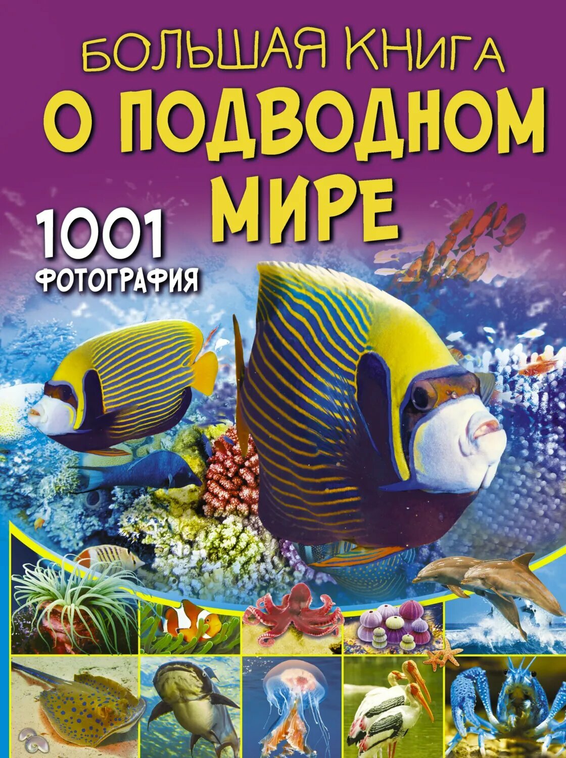 Большая книга о подводном мире. 1001 фотография [Цифровая книга]