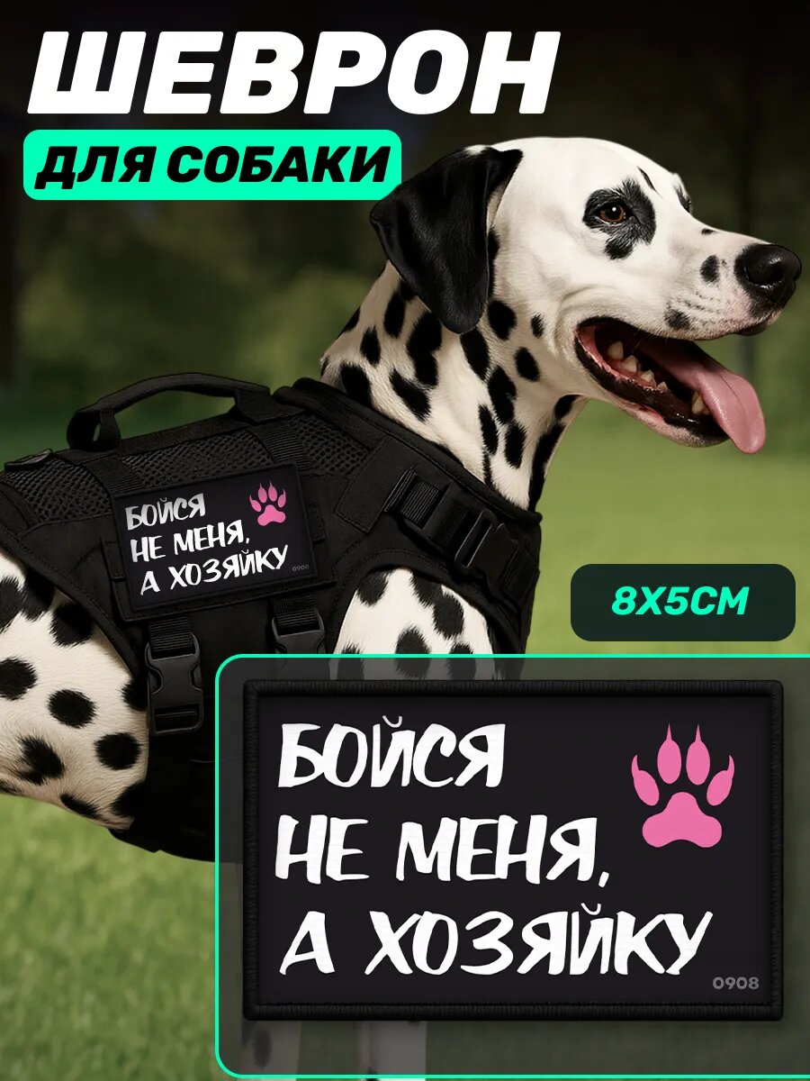 Шеврон на липучке для собак Бойся хозяйку