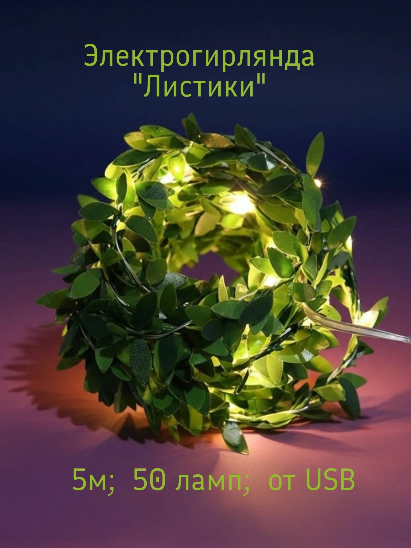 Электрогирлянда "Листики" (5м; 50 ламп; от USB)