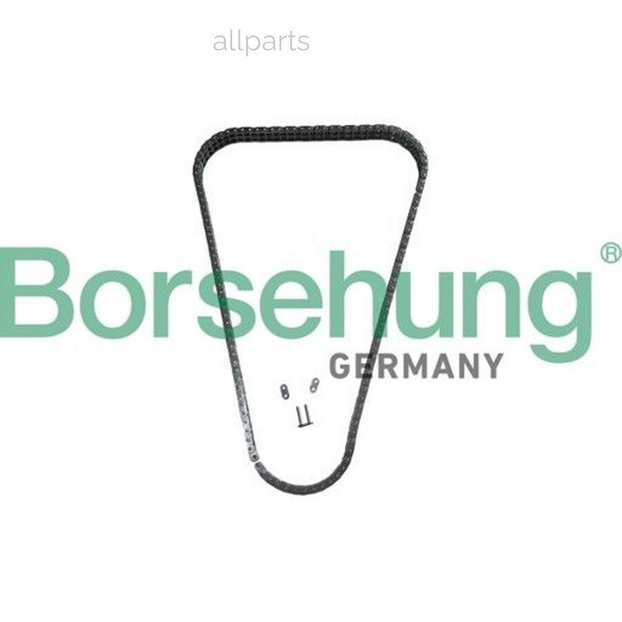 BORSEHUNG B13344 Цепь ГРМ