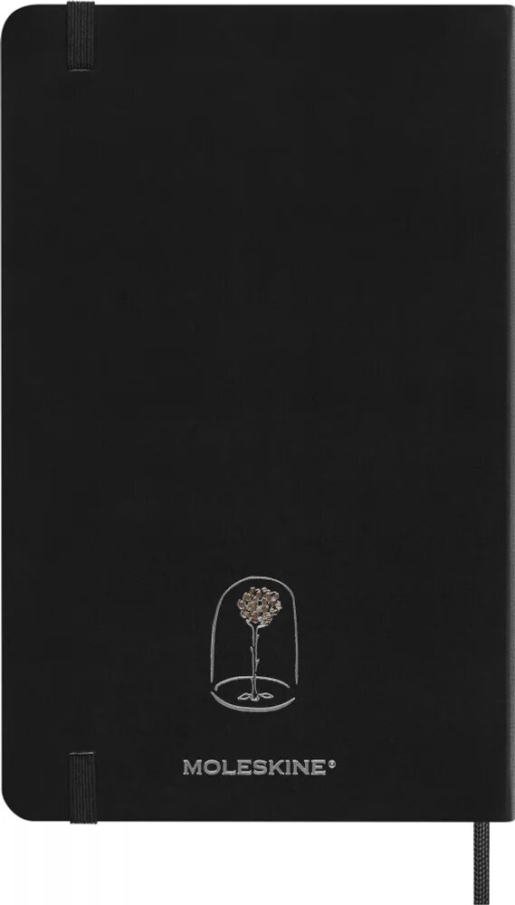 Блокнот Moleskine LE Petit Prince в линейку, матовая бумага, с резинкой, формат A5, черный — фото 1